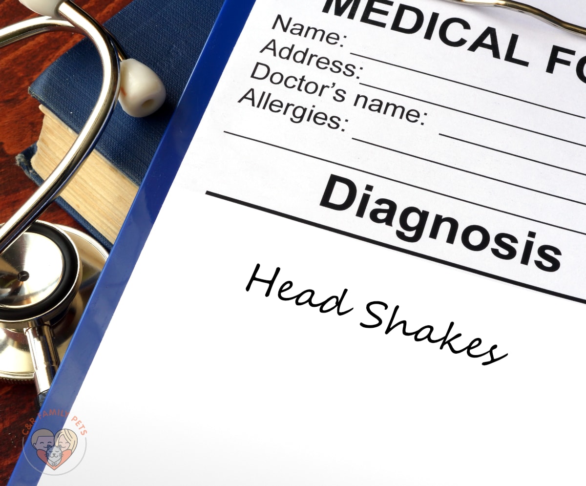 What is Canine Head Shakes? Causes, Symptoms & Treatment