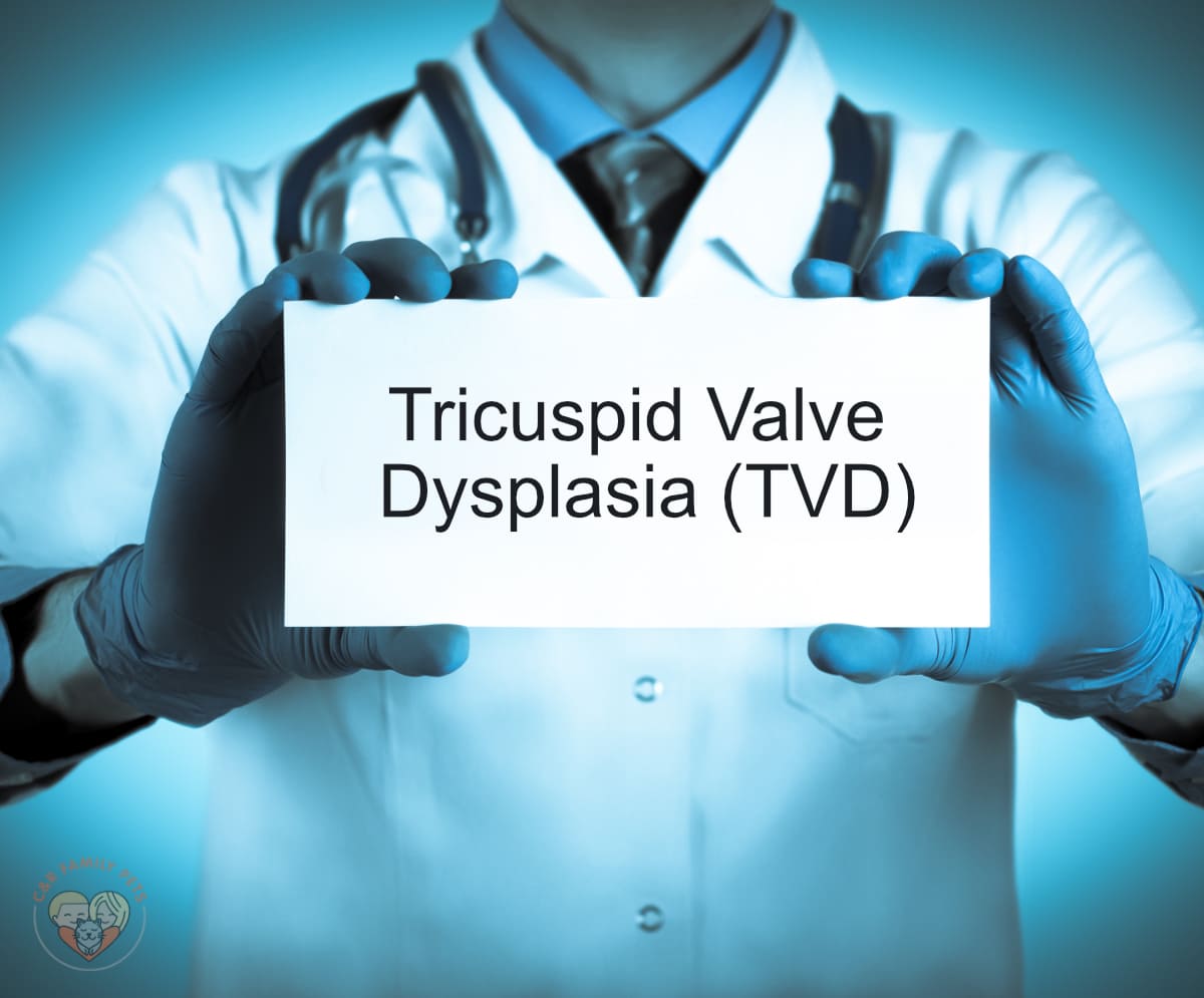 Canine Tricuspid Valve Dysplasia (TVD)