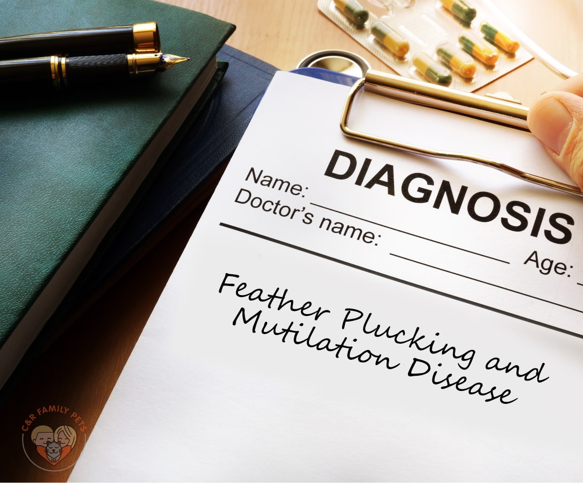 Avian Feather Plucking and Mutilation Disease