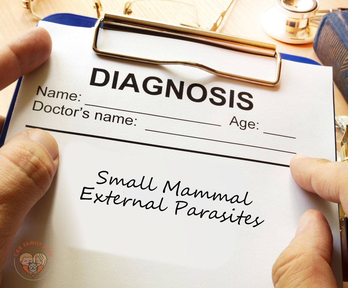 Small Mammal External Parasites