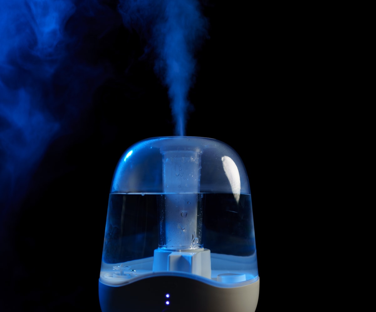 Snakes: Complete Guide to Controlling Humidity