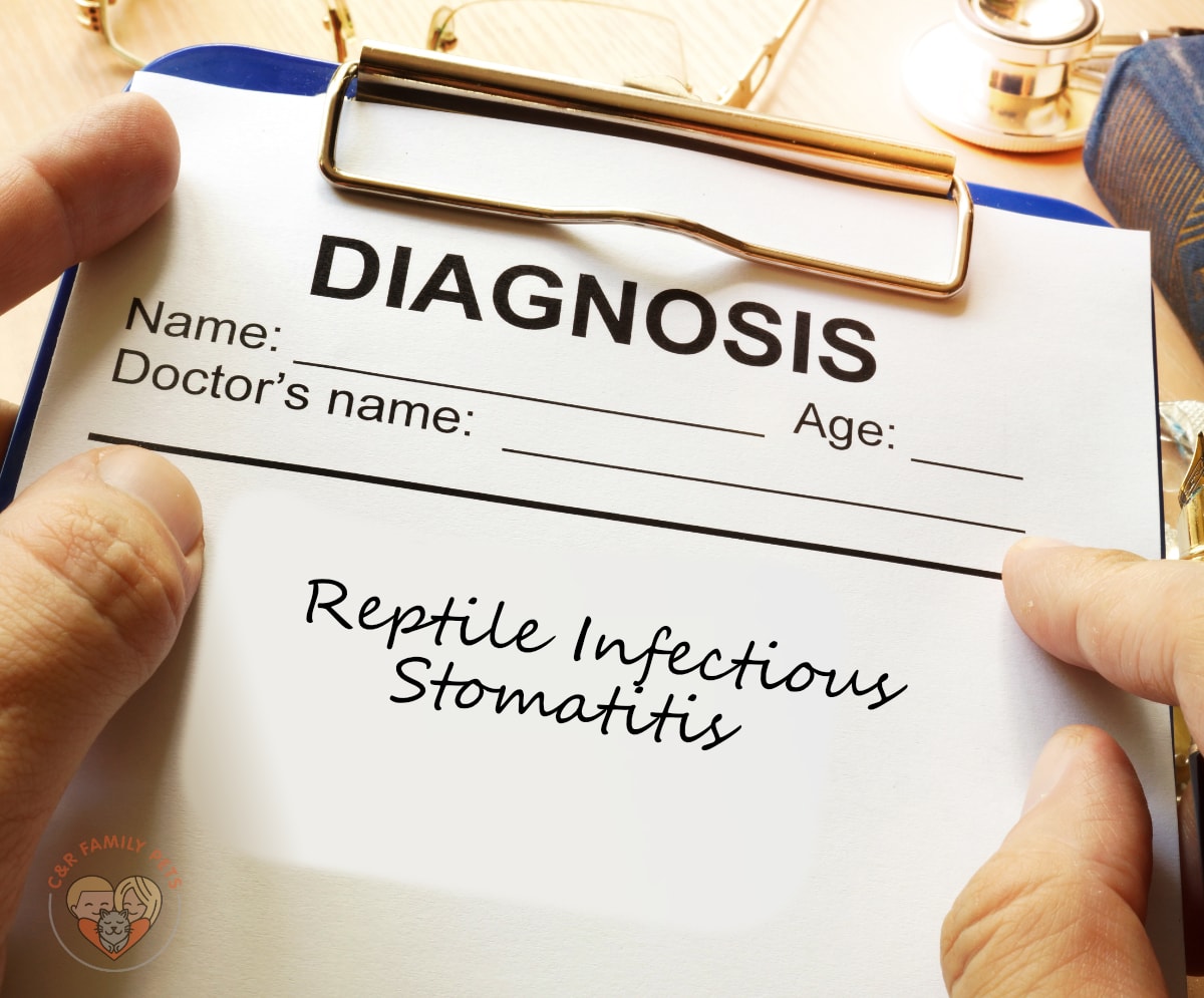 Reptile Infectious Stomatitis