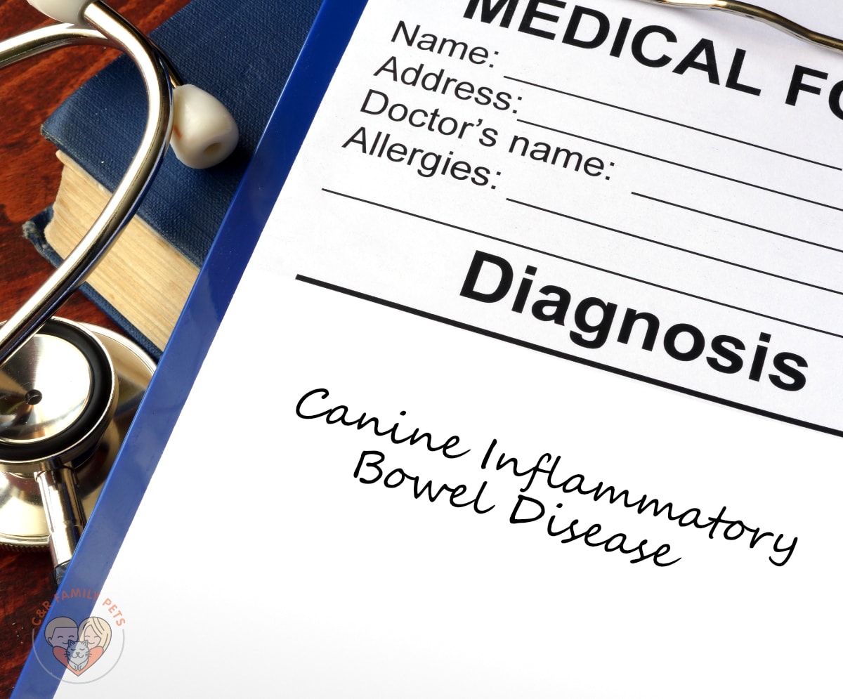 Canine Inflammatory Bowel Disease