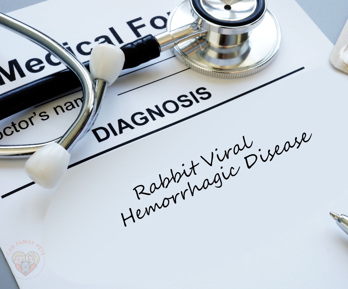 Rabbit Viral Hemorrhagic Disease